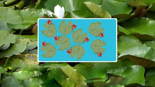 8класс_Задача о водяной лилии