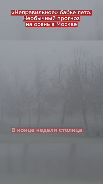 «Неправильное» бабье лето. Необычный прогноз на осень в Москве