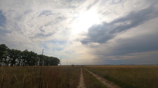 Колокола осени.😊