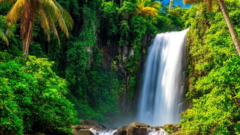 Звуки природы тропический водопад