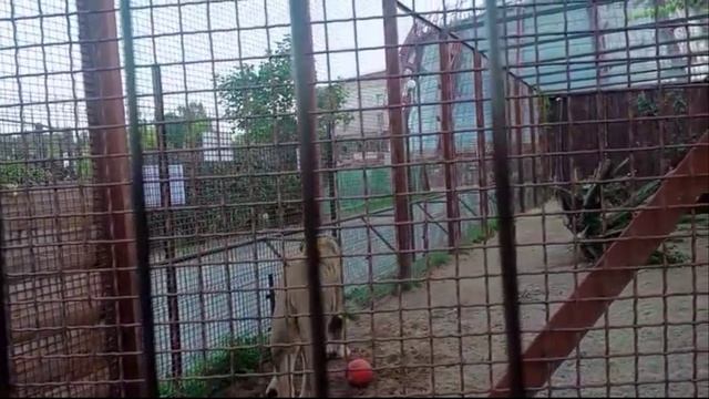Шархан Спокойной ночи 08.09.2025