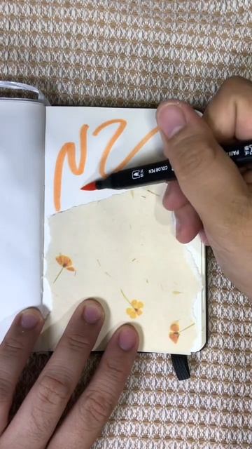 ASMR Pocket Journal ✨ Stationery & Scrap Collage