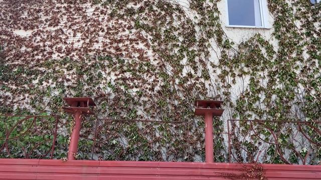 Лазаревская. Самые классные места для съёмки селфи и видео