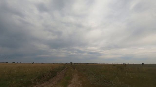Место силы и вдохновения.😊