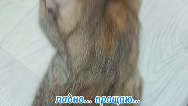 Сижу тут... голодная...