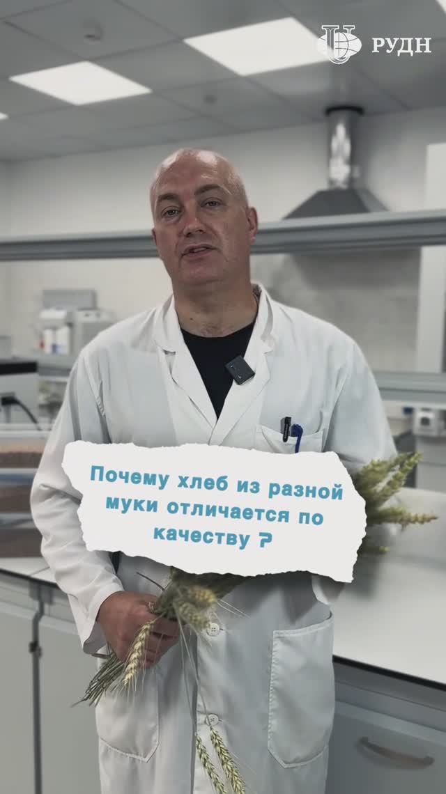 Почему хлеб отличается по качеству? Отвечает преподаватель АТИ РУДН