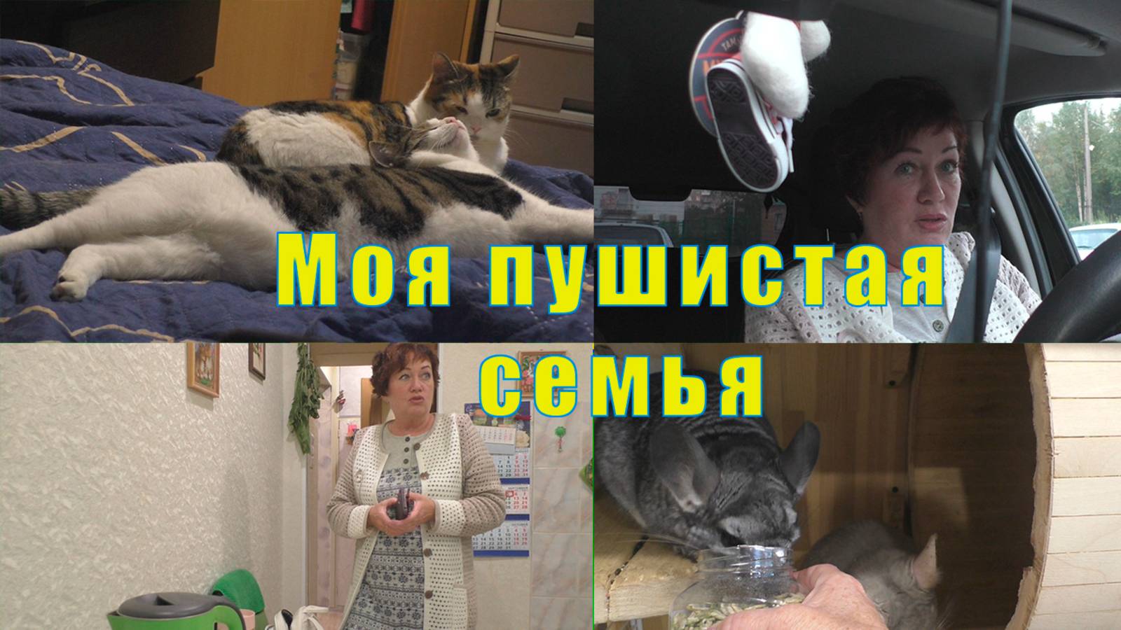 МОЯ ПУШИСТАЯ СЕМЬЯ / КАК ДЕЛА У ЛЕНОЧКИ И САШИ / 04 и 05 и 06  сентября 2025