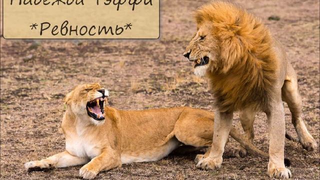 НАДЕЖДА ТЭФФИ - "РЕВНОСТЬ"