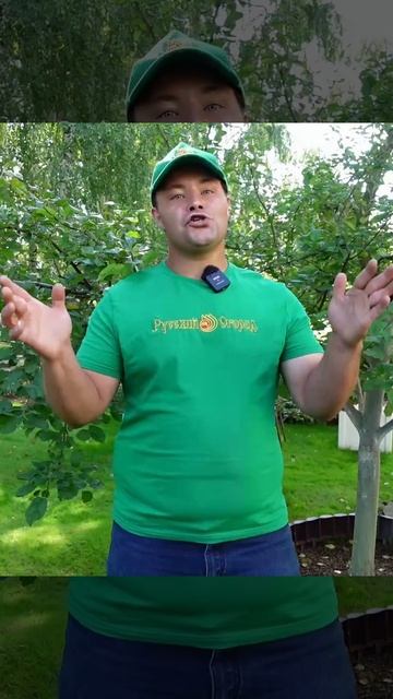 Какие отходы подходят для компоста, а что добавлять категорически нельзя?