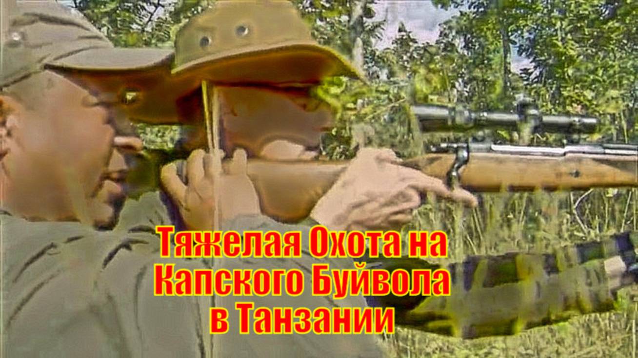 Тяжелая Охота на Капского Буйвола в Танзании