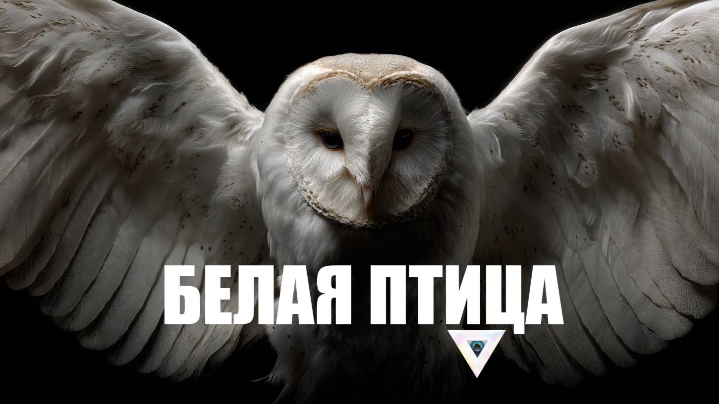 🌲Белая Птица🕊️ | Шаманские мотивы | Мистическая атмосфера | NocHex