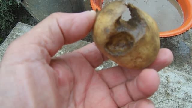 6 соток 28 августа.