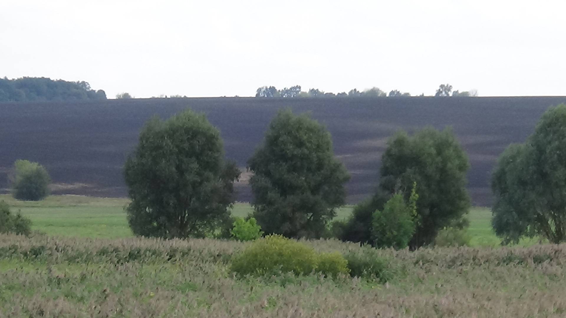 в корочанском районе в 2025 году на село бродок