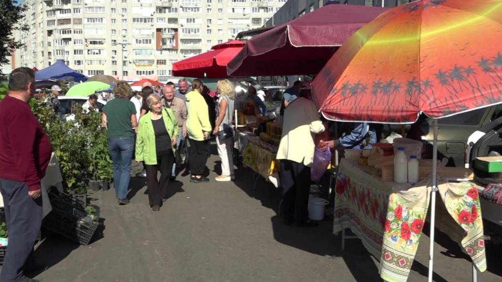 Яблоки, груши и мёд: брянцы выбирают дары сезона на выходных ярмарках