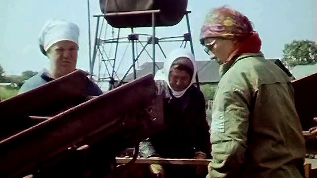 1988 год. Тюменский район. Уборка картофеля