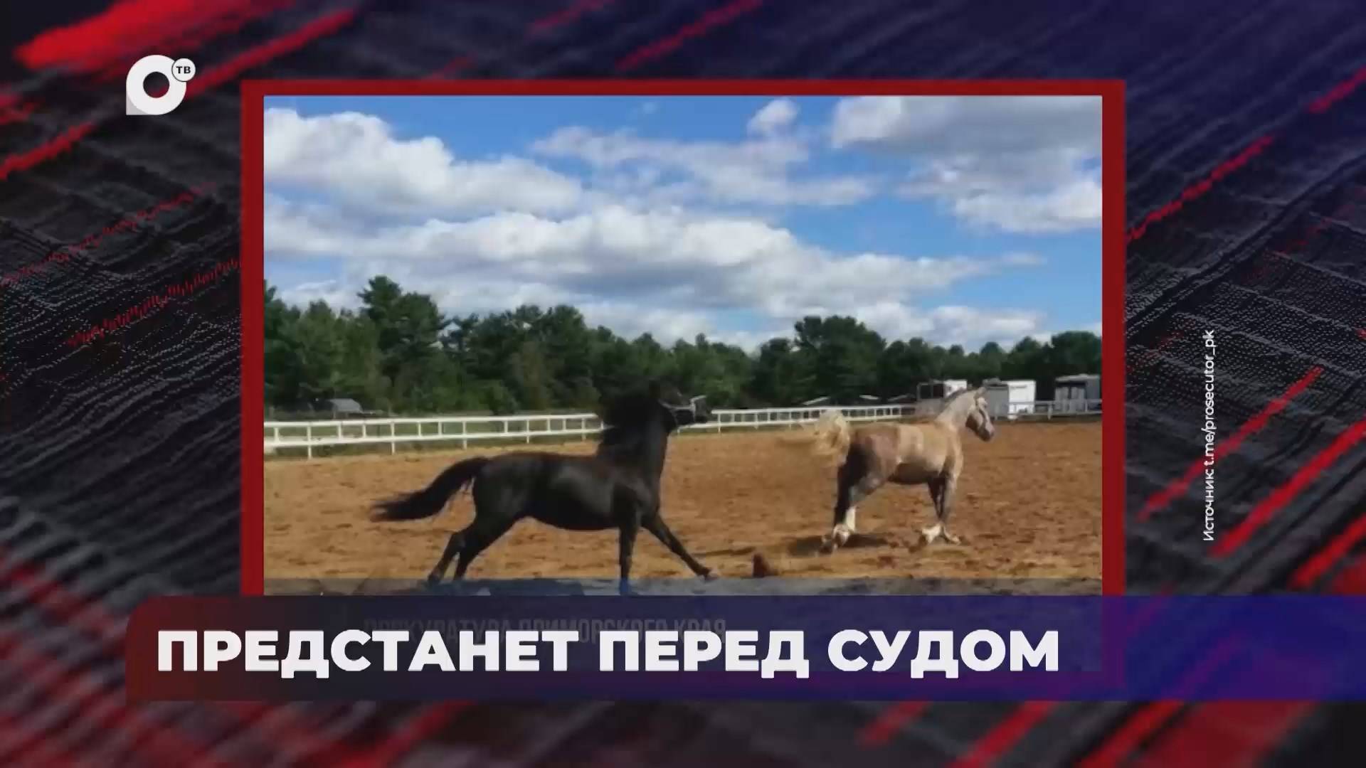 В порядке! / Дело о мошенничестве / Обвинительное заключение / Травмирование ребенка / 09.09.25