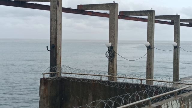 Дельфины в море Лермонтово