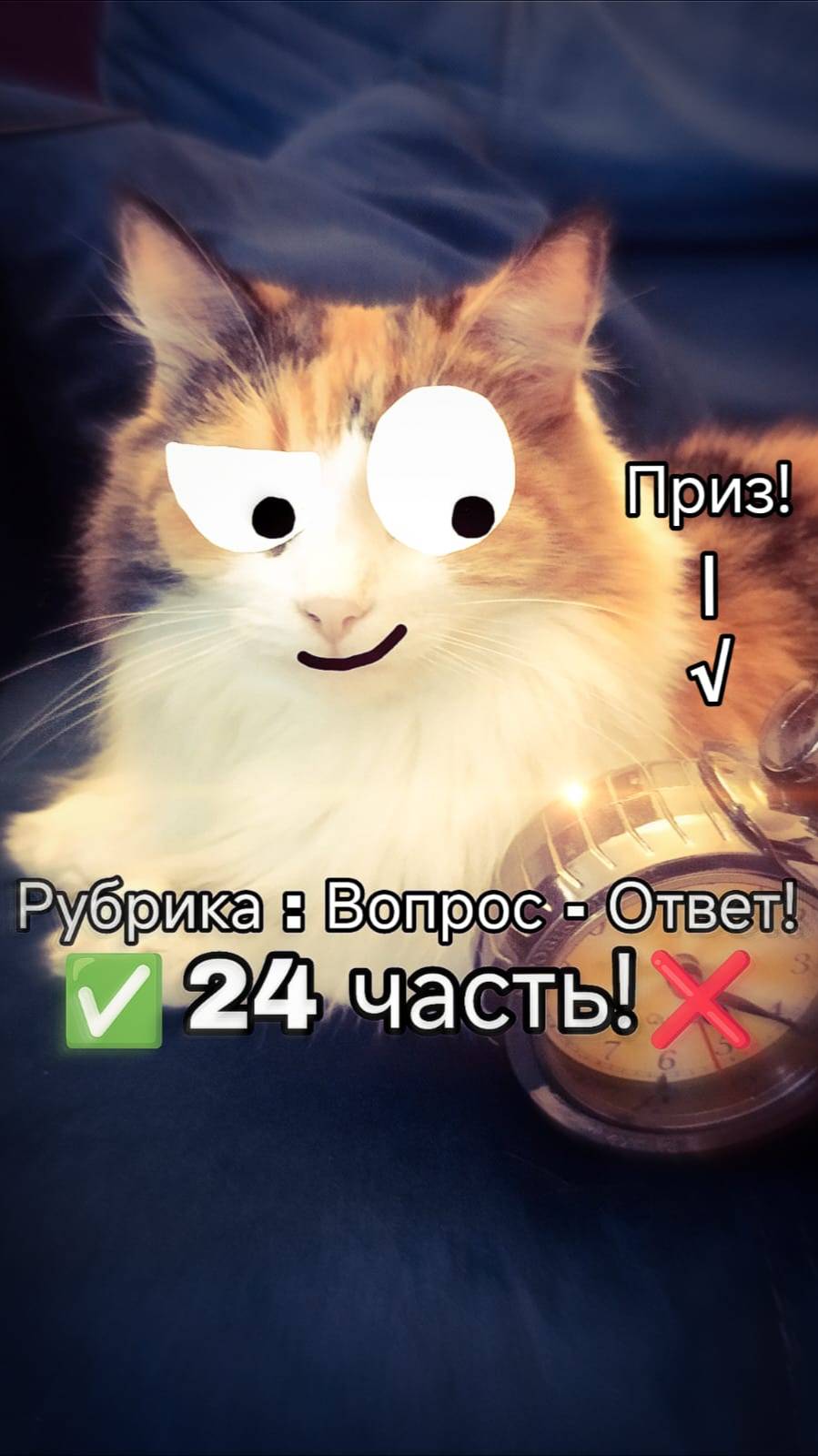 Рубрика : Вопрос - Ответ! 24 часть!! | Симка и Алиса Rutube🎮