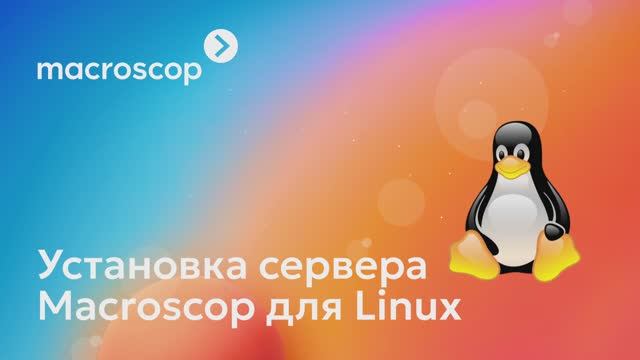 Установка сервер Macroscop для Linux