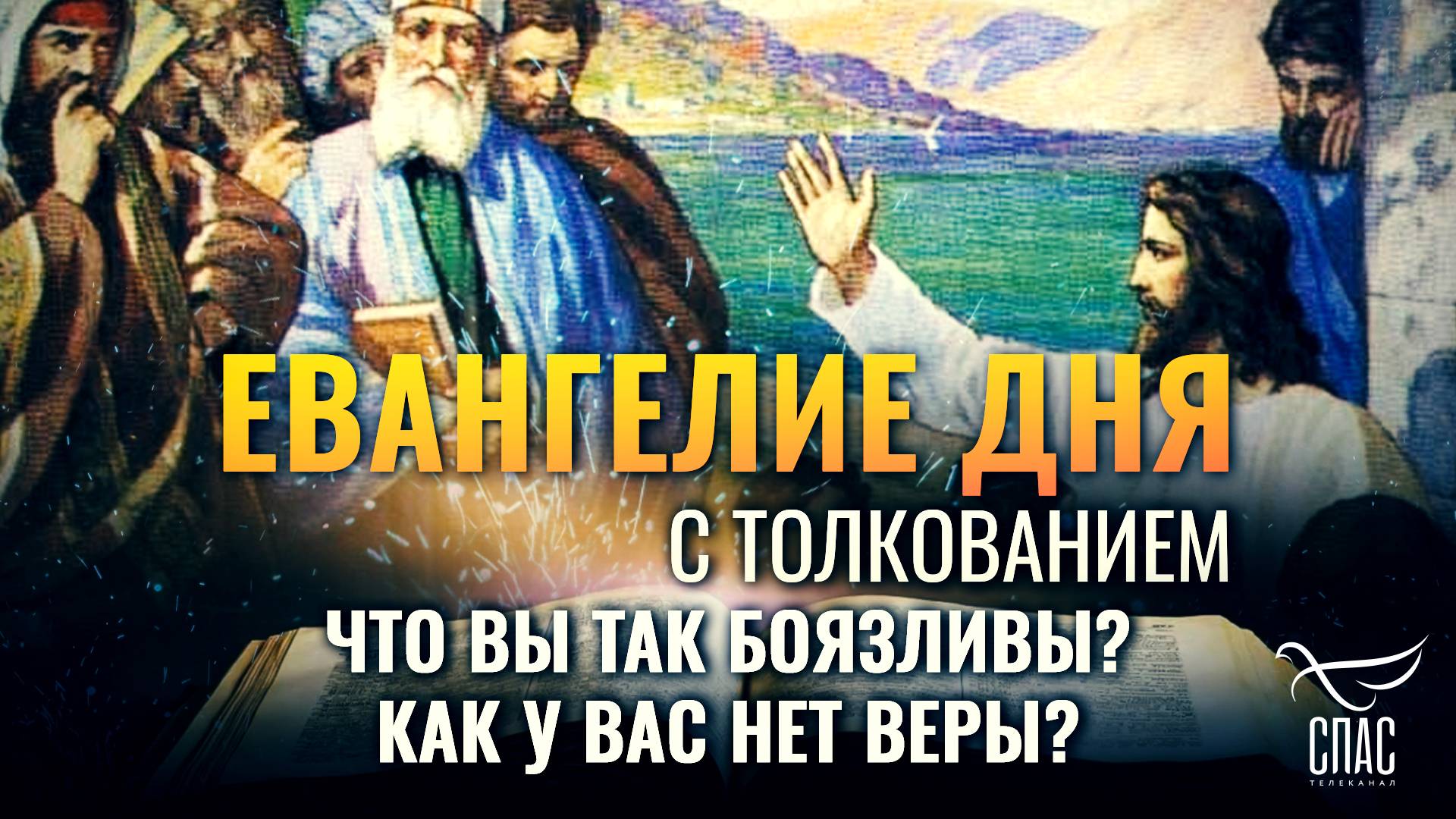 «ЧТО ВЫ ТАК БОЯЗЛИВЫ? КАК У ВАС НЕТ ВЕРЫ?» / ЕВАНГЕЛИЕ ДНЯ