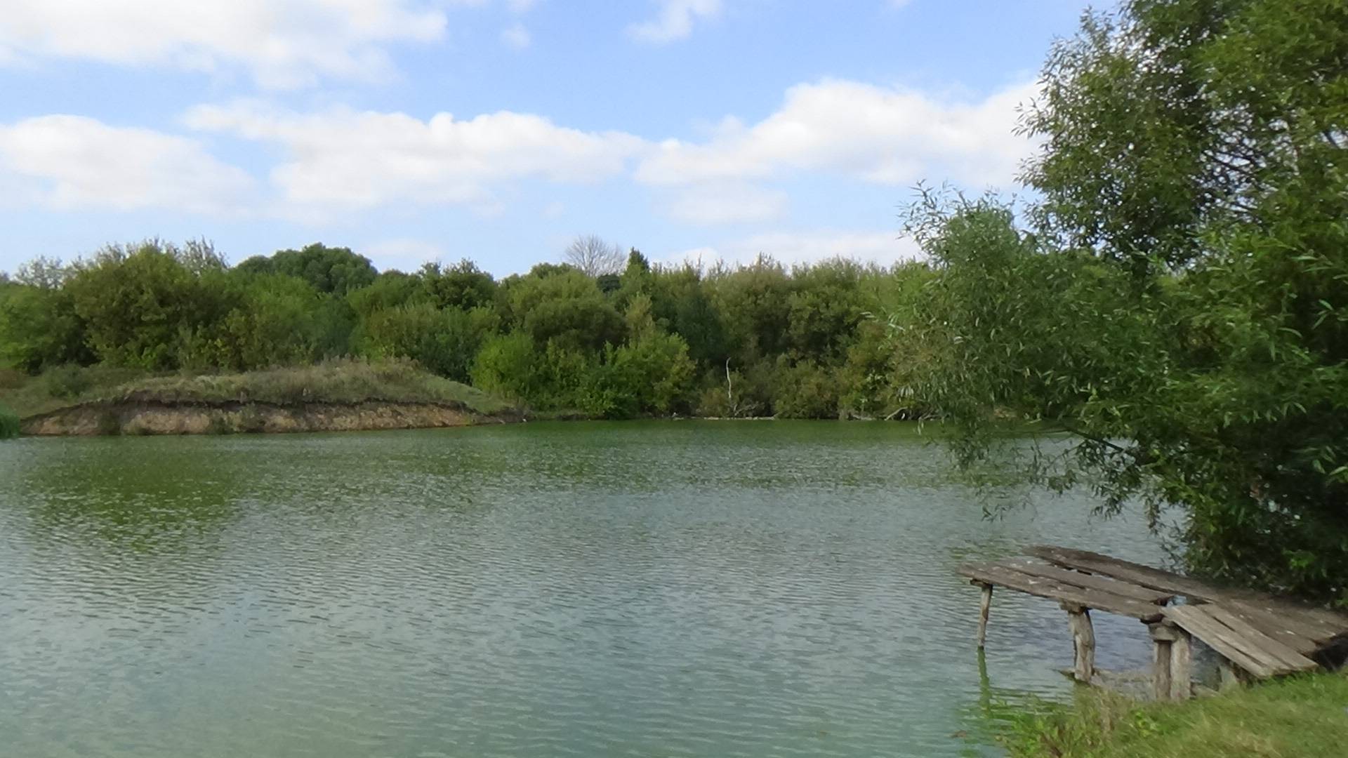 гагарино прохоровского района белгородской области прохоровский район с.гагарино