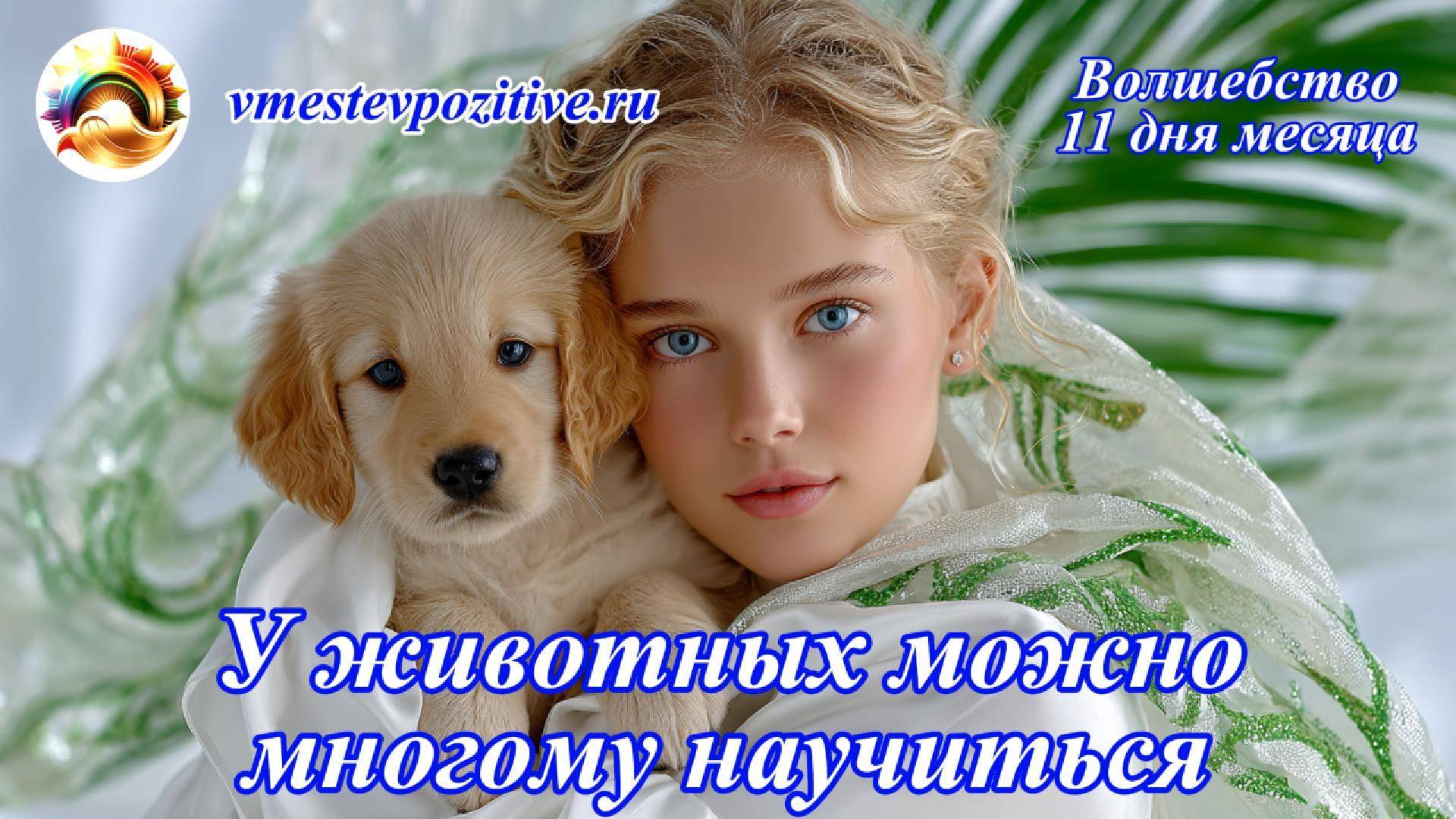 Волшебство 11 дня месяца