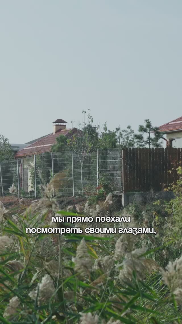 ШКОЛА В КАМЫШАХ! Полный абсурд с станице #командакравченко #shorts #short