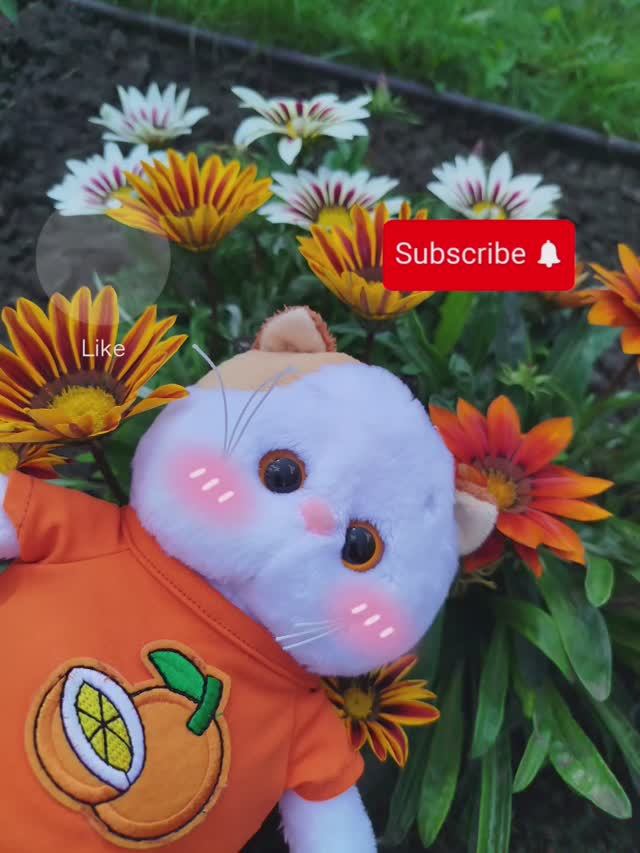 ГУЛЯЕМ С НИКОЙ 😺🔥
#БАСЯТА КОТ БАСИКИ БАСИКИ #