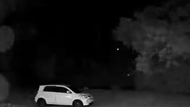 Кадры сбития дрона в Польше попали в сеть.