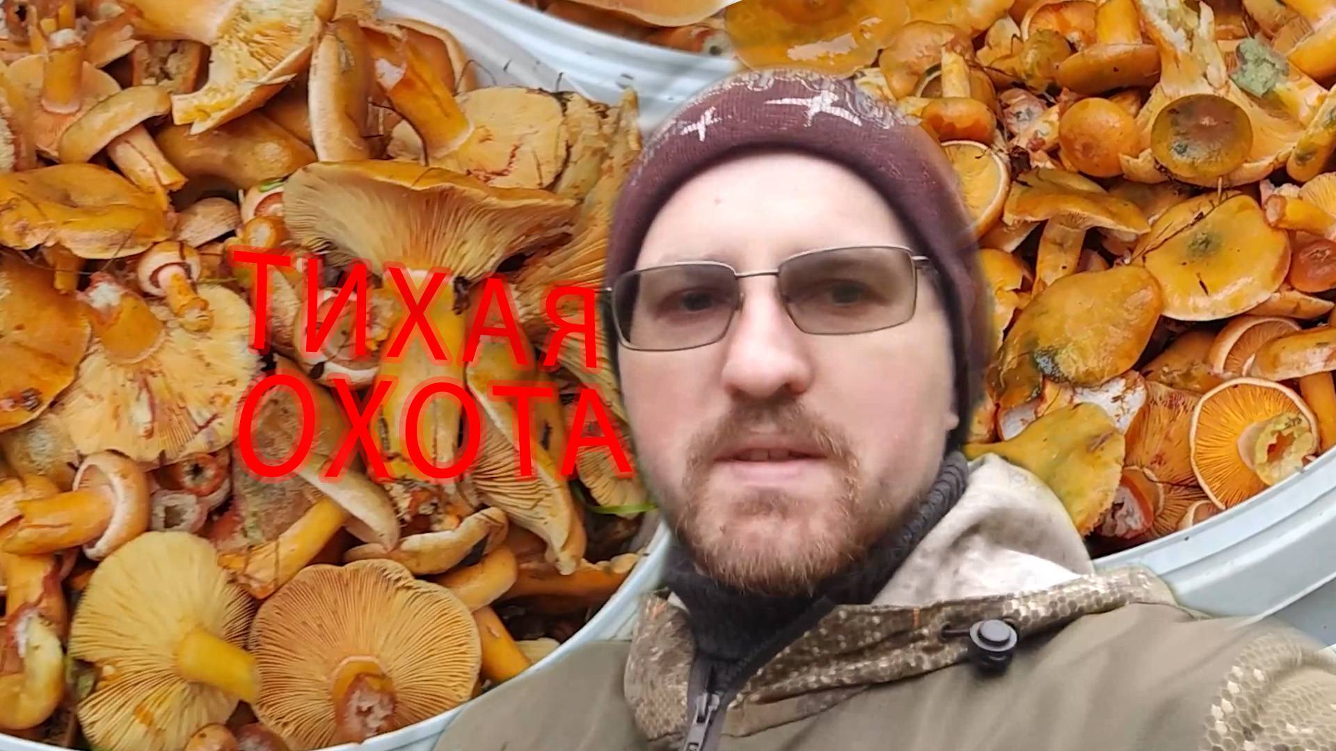 Лучшая Тихая Охота Осенью: Роман Показывает Своё Мастерство Сборщика Рыжиков
