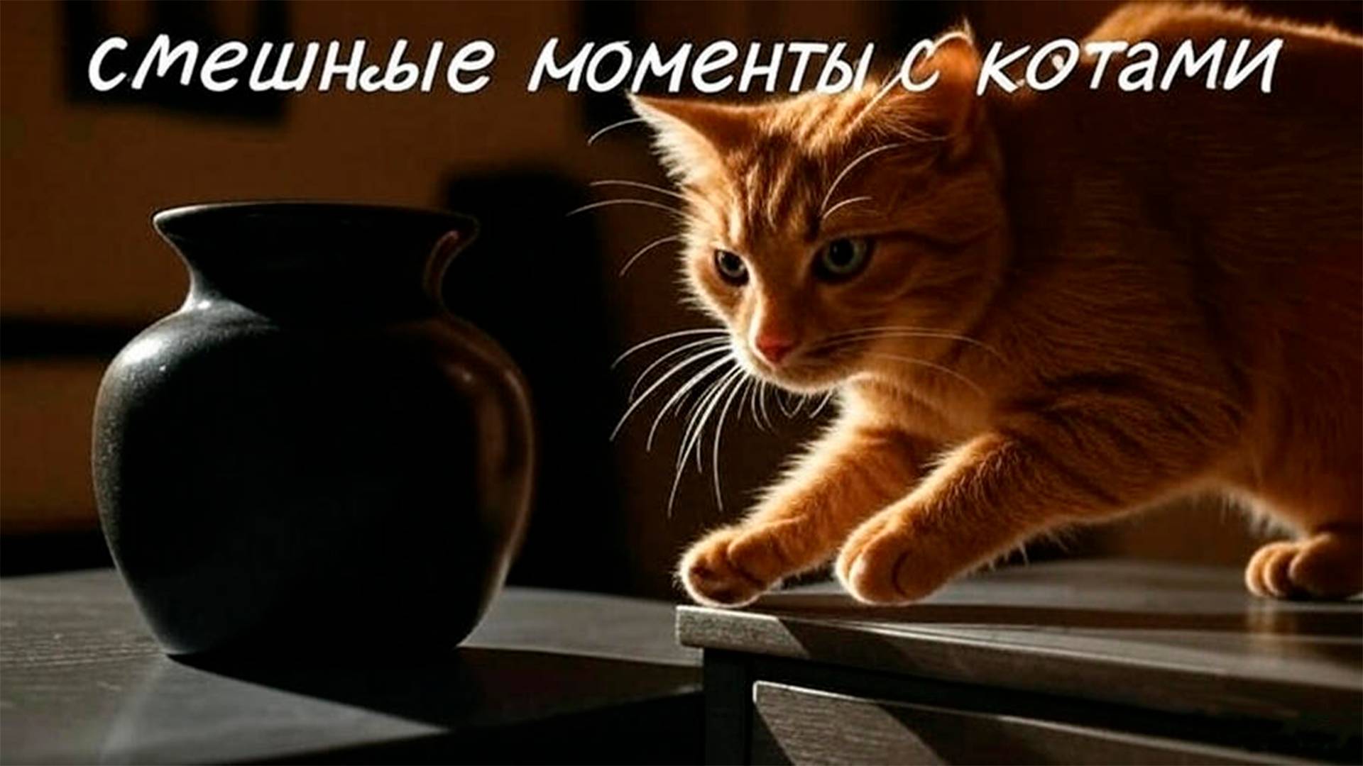 Смех до слёз: лучшие приколы №189