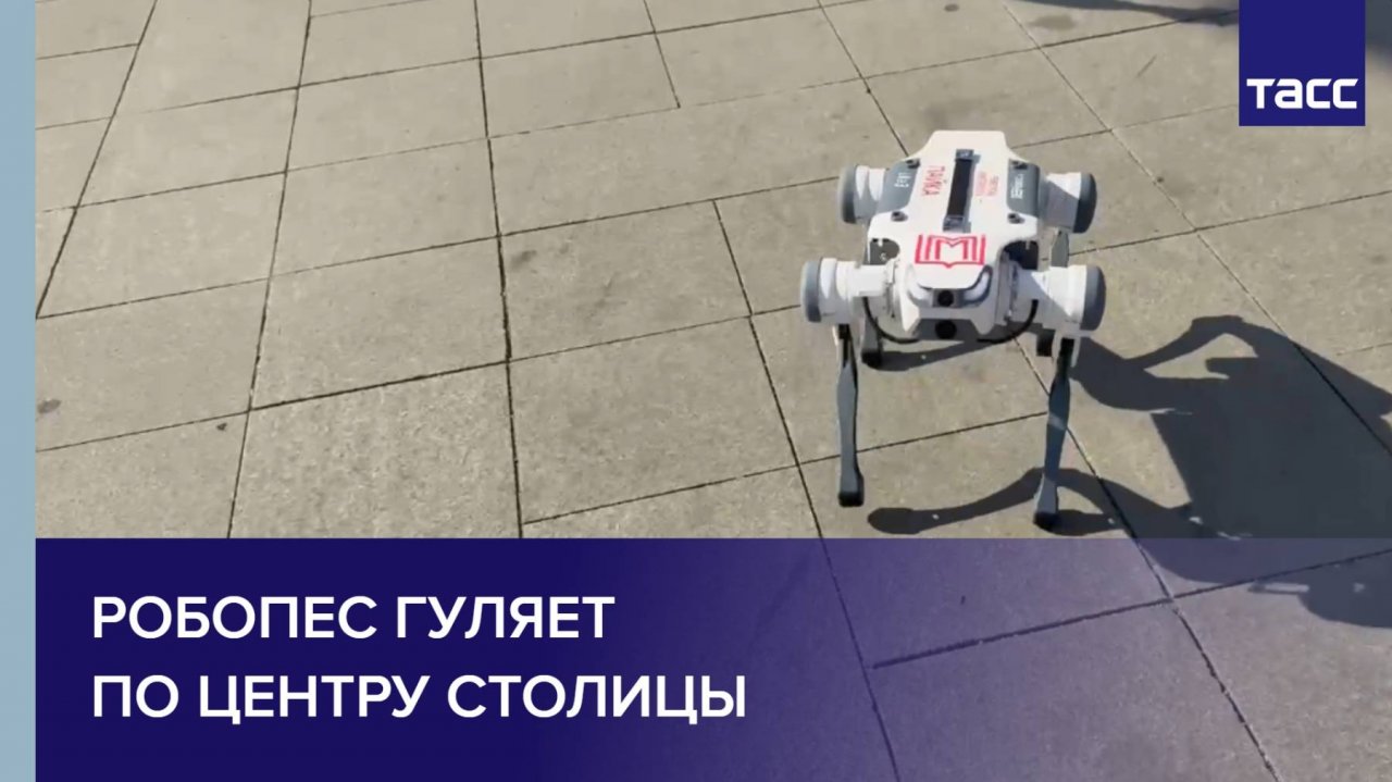 Робопес гуляет по центру столицы