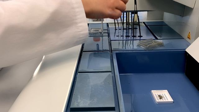 Morphology laboratory