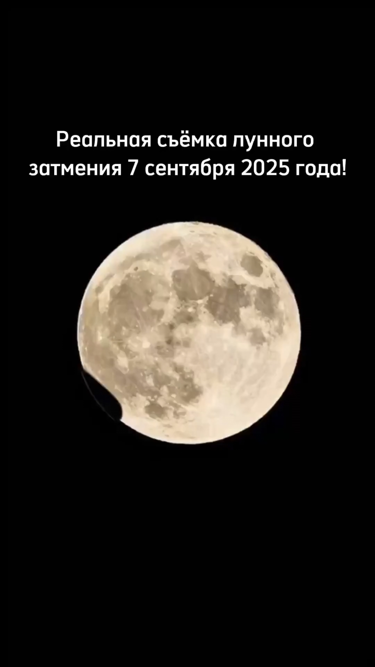 Кото затмение луны 🌒