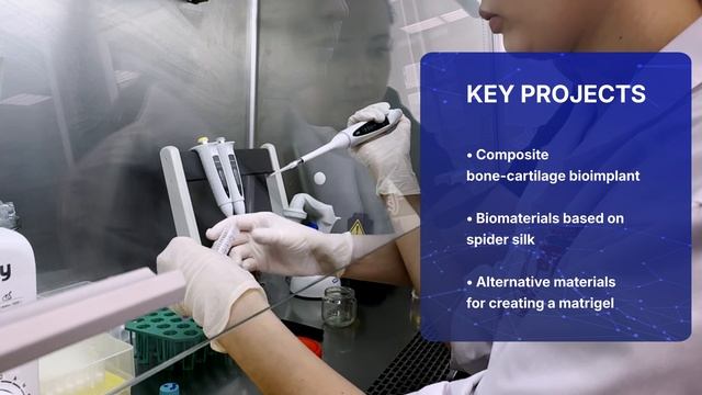 Nature-like Materials Laboratory