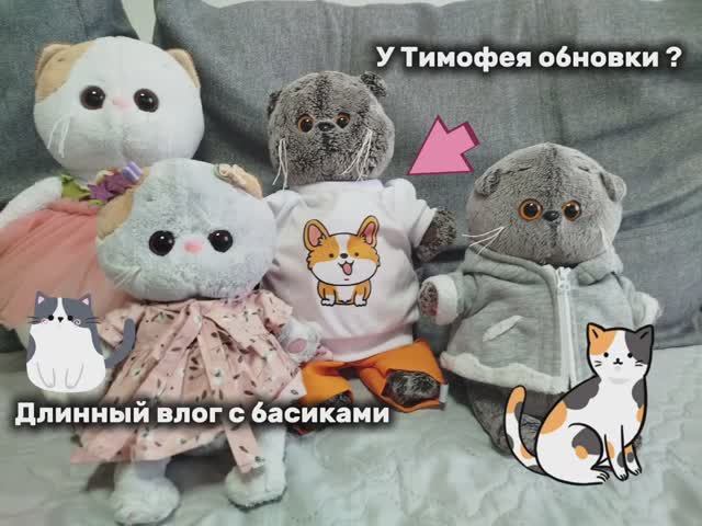 ДЛИННЫЙ ВЛОГ С БАСИКАМИ ☺️🔥
#КОТ БАСИК БАСЯТА БАСИК #
