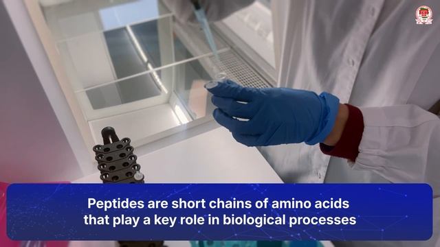 Laboratory of Molecular Hybrids