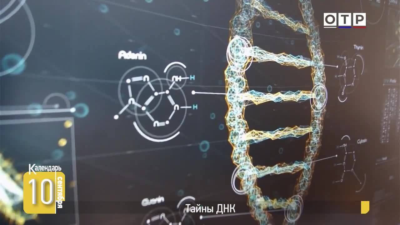 Тайны ДНК: От генетических отпечатков до секретов жизни