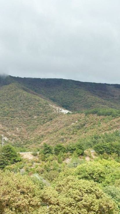 Квартира в Геленджике цена 24.15 млн.р. Трёшка в ЖК "Реал". Квартиры в Геленджике без лишних слов !