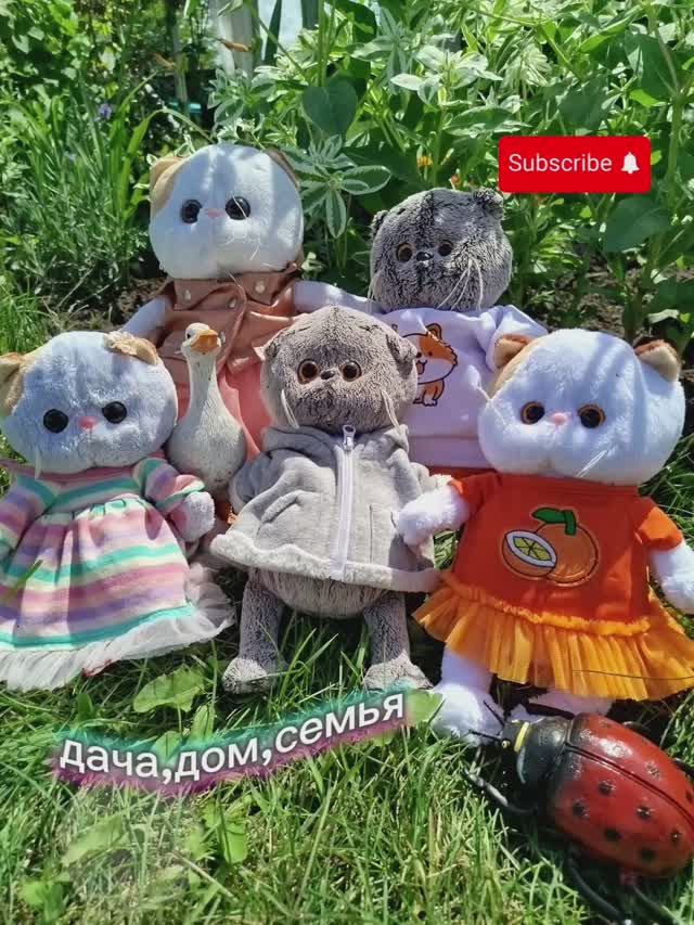 3 ДНЯ С БАСИКАМИ 💕
#кот басик басята басик басики#