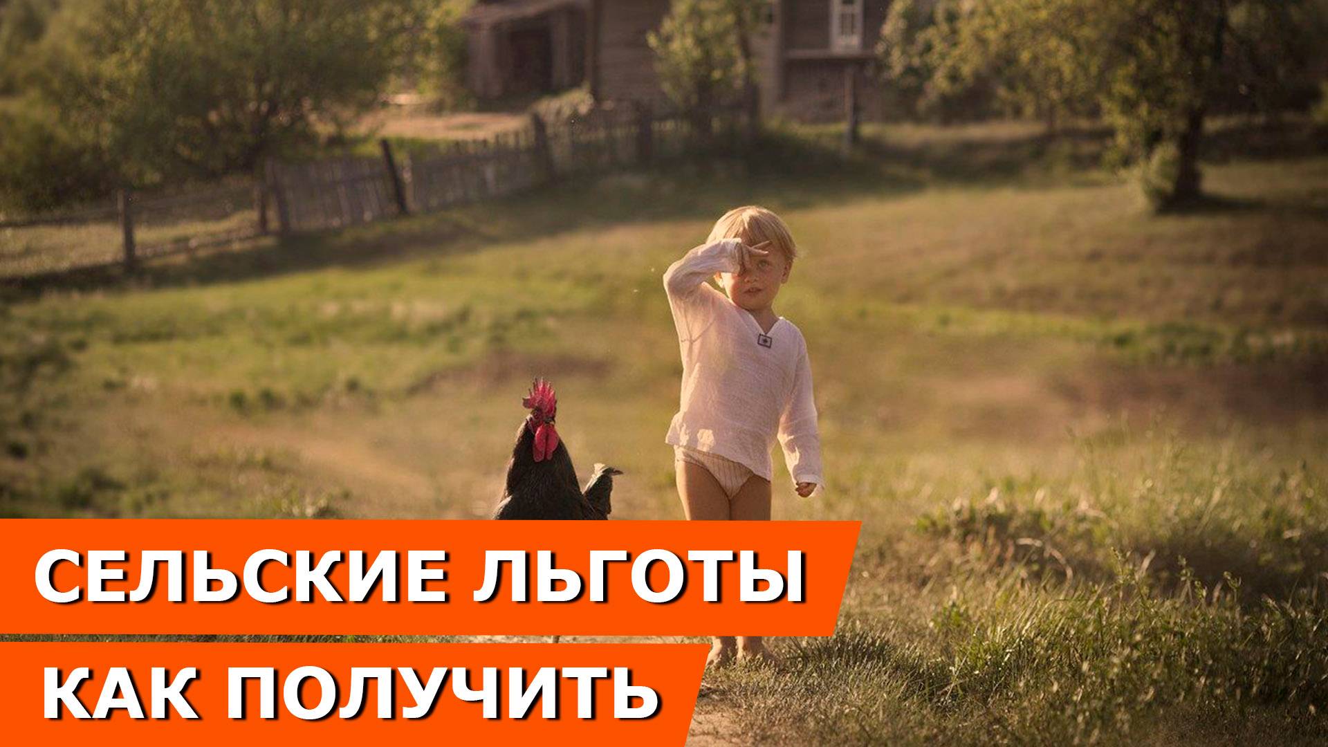 Жизнь в деревне: льготы сельские - как получить, если жить в сельской местности