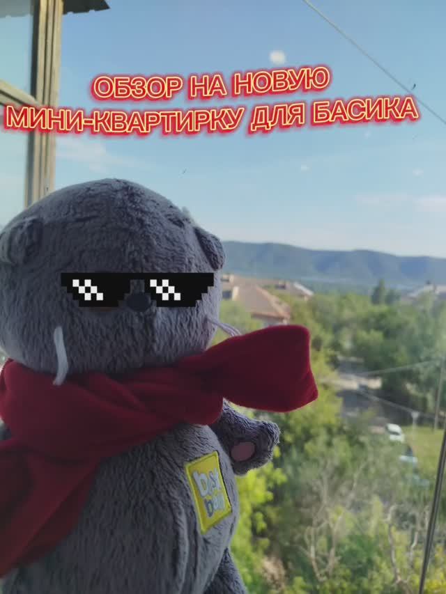 ОБЗОР НА МИНИ-КВАРТИРКУ ДЛЯ СЕМЬИ БАСИКОВ ☺️
#КОТ БАСИК#БАСИКИ#БАСЯТА#