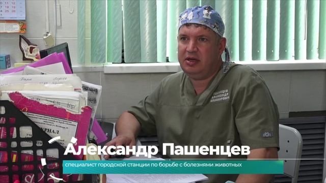 (9.09.2025) Чипизация домашних собак стала обязательной в Хабаровском крае