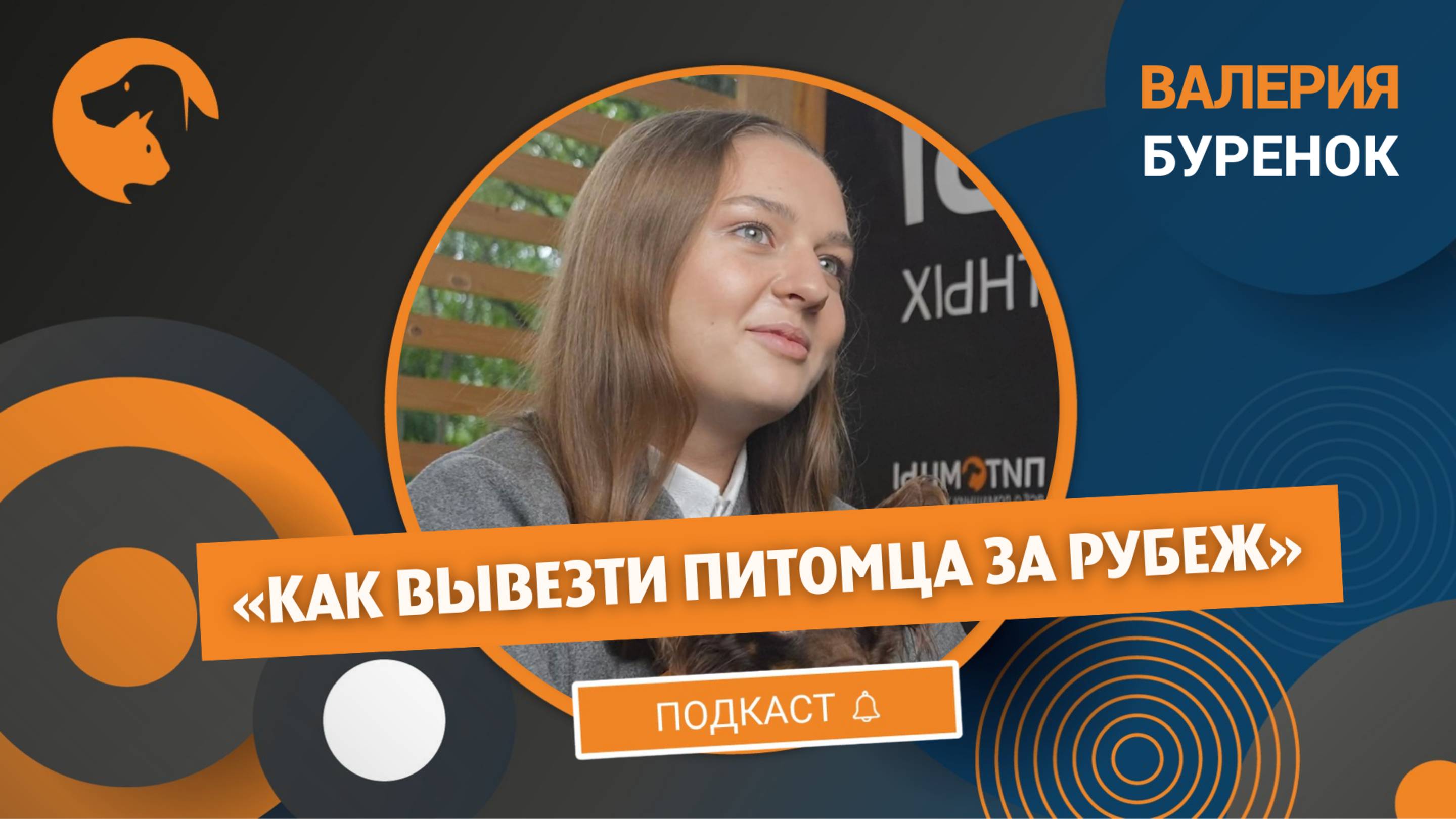 Эксперт назвала страны, куда сложнее всего попасть на отдых с питомцем