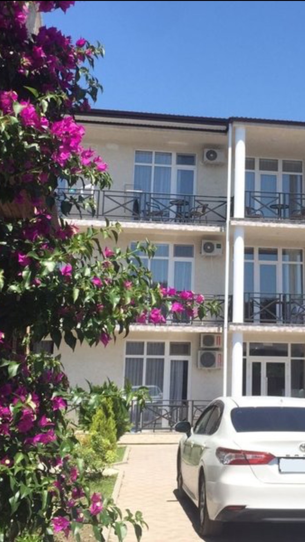 Бугенвиллия, Пицунда(Абхазия)