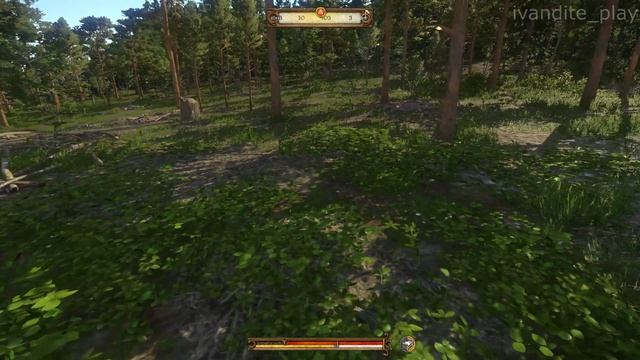 Прохождение Kingdom Come:Deliverance # 17(Без Комментариев)