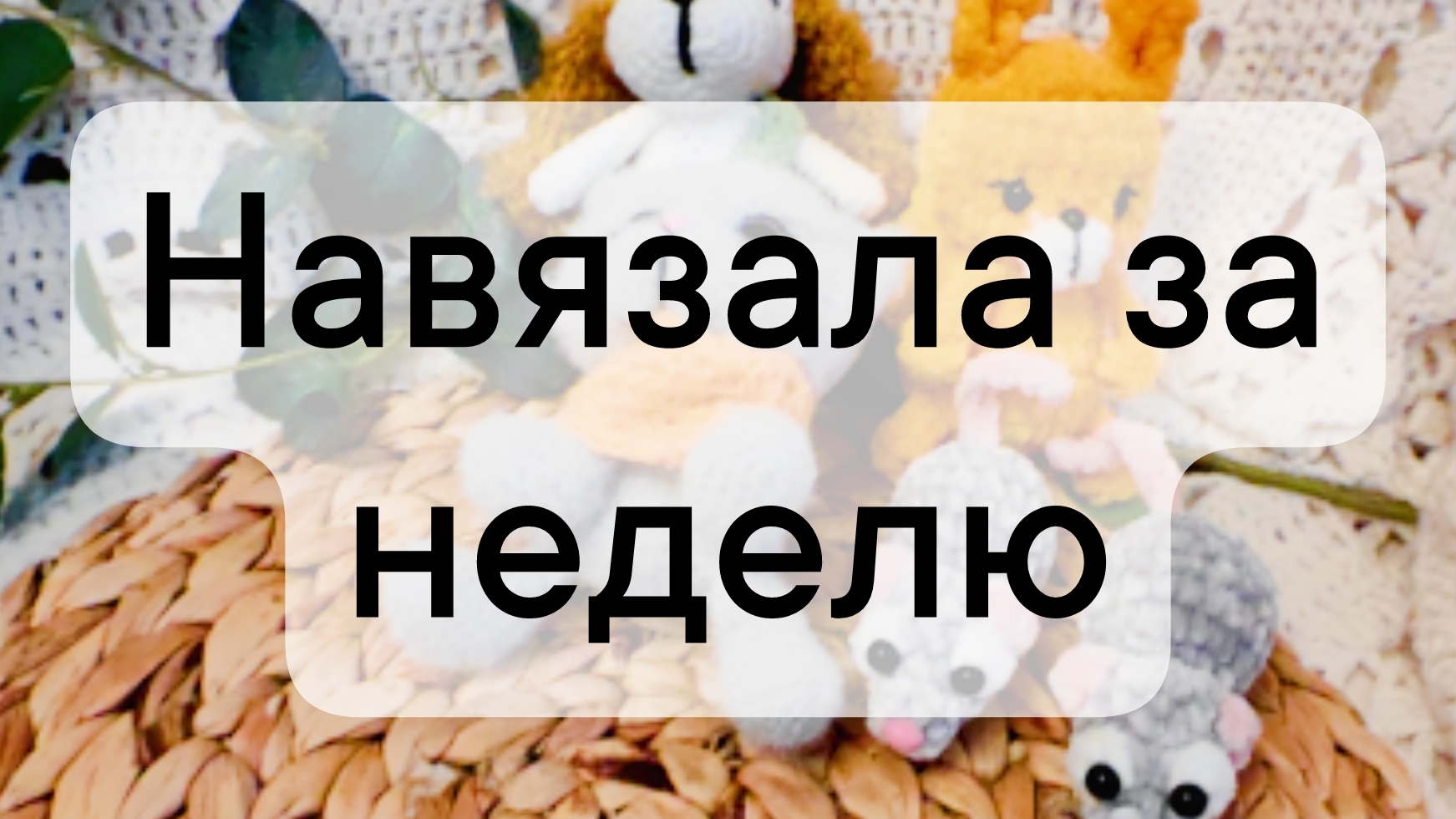 вязовлог 36/2025 навязала за неделю