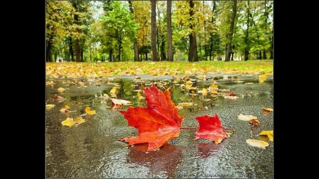 Владимир Толмачев. Скучная осень