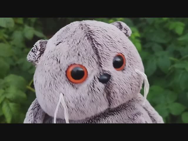 НАША ДАЧА 🏡
ПАПА БАСИКОВ И ТИМОФЕЙ НА ДАЧЕ 😺
БАСЯТА БАСИКИ БАСИК КОТ БАСИК