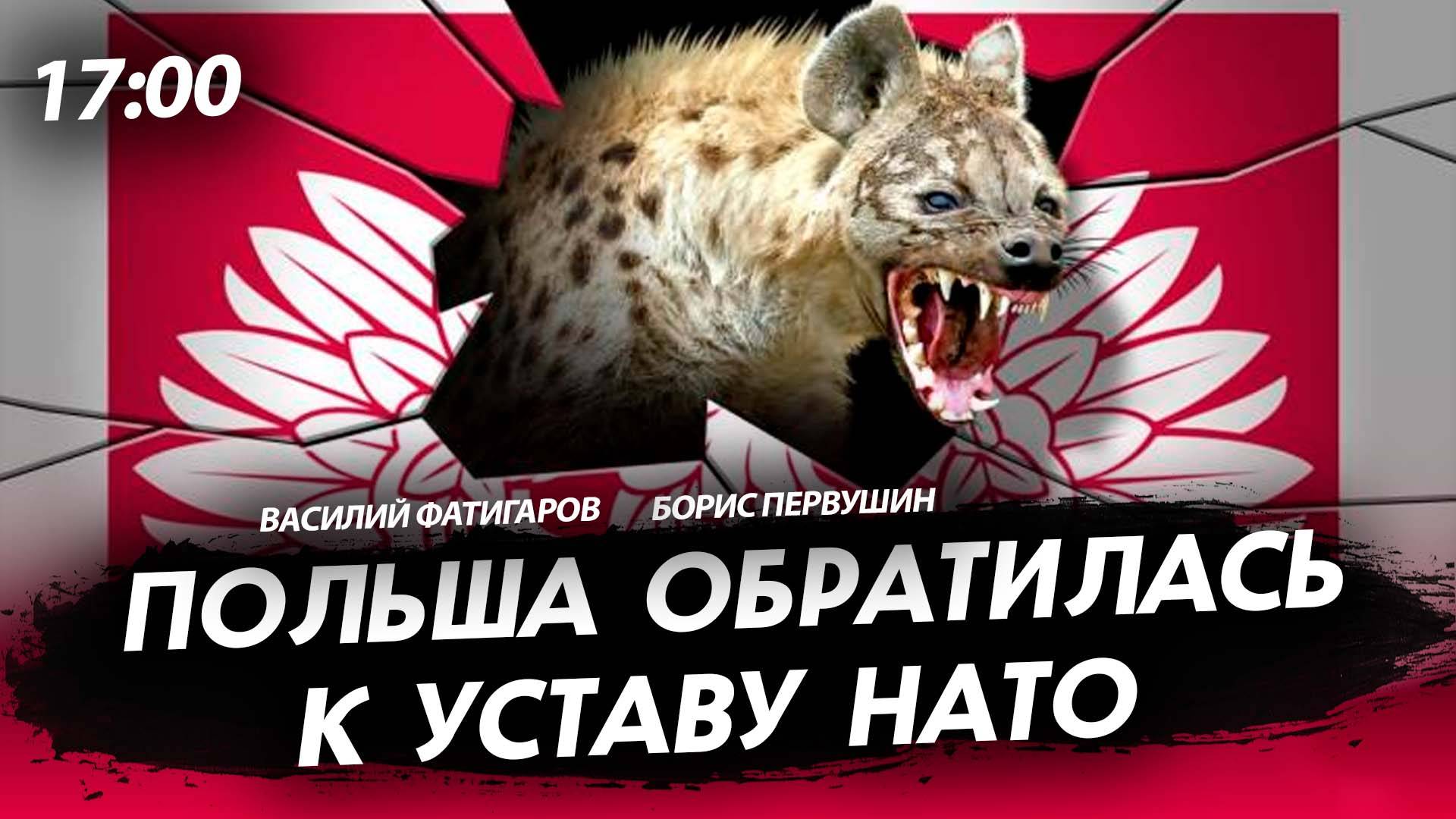 Польша обратилась к уставу НАТО [Василий Фатигаров. СТРИМ]